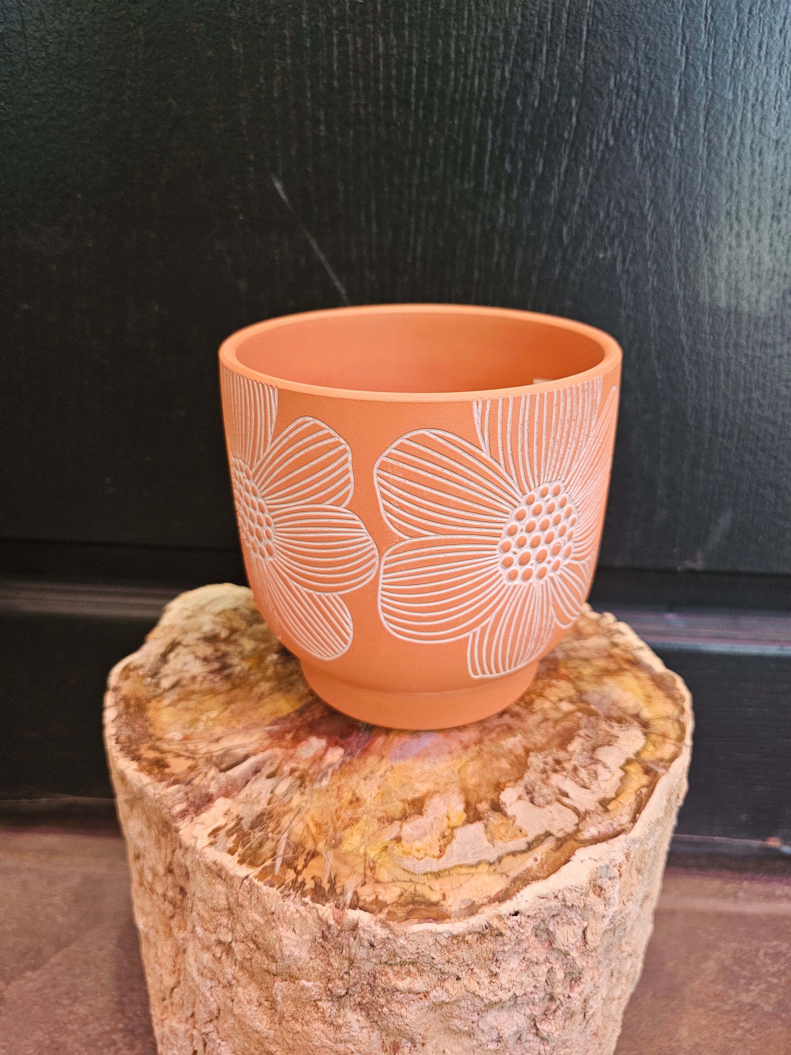 Bloom Terra Cotta Pot – Chlorophyll